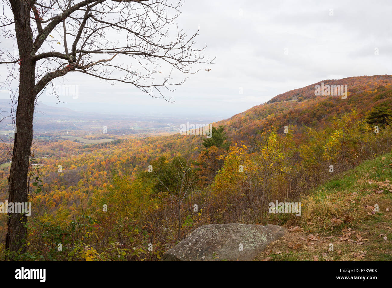 Fall color in Virginia Stock Photo - Alamy