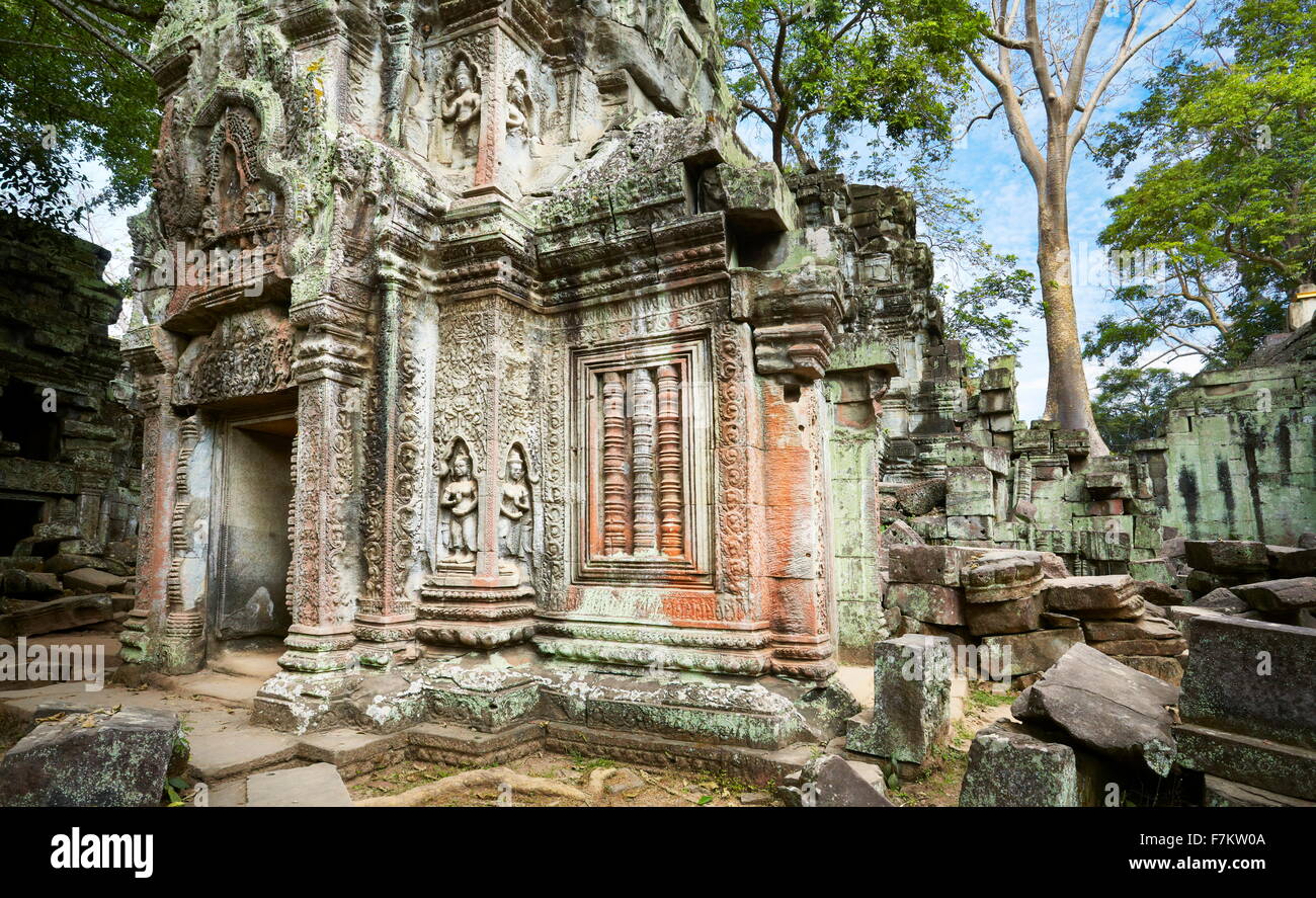 Ta Prohm Temple, Angkor, Cambodia, Asia Stock Photo - Alamy
