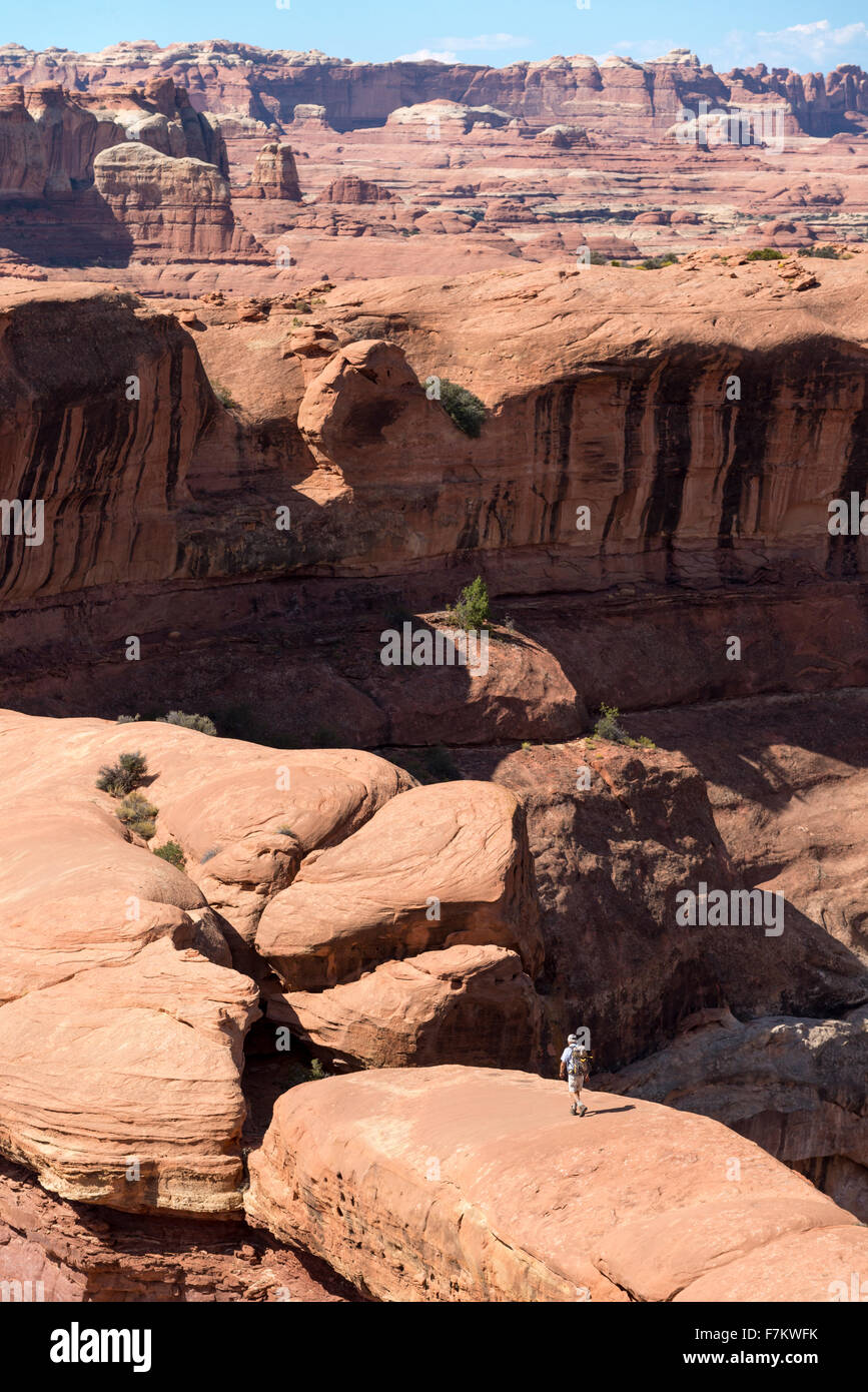 Hiker on a sandstone ridge in Canyonlands National Park, Utah Stock ...