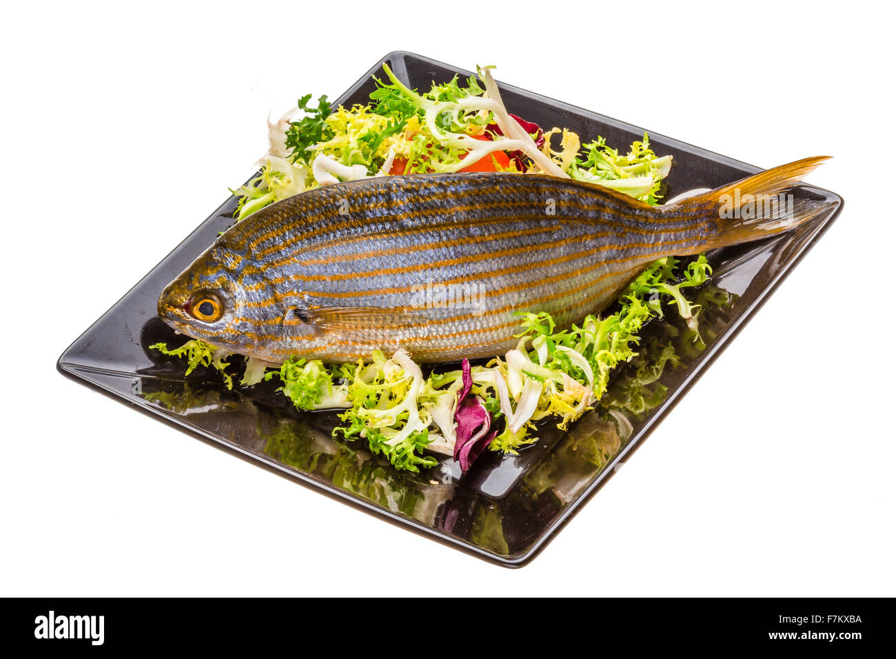 Salema porgy - sarpa fish Stock Photo - Alamy
