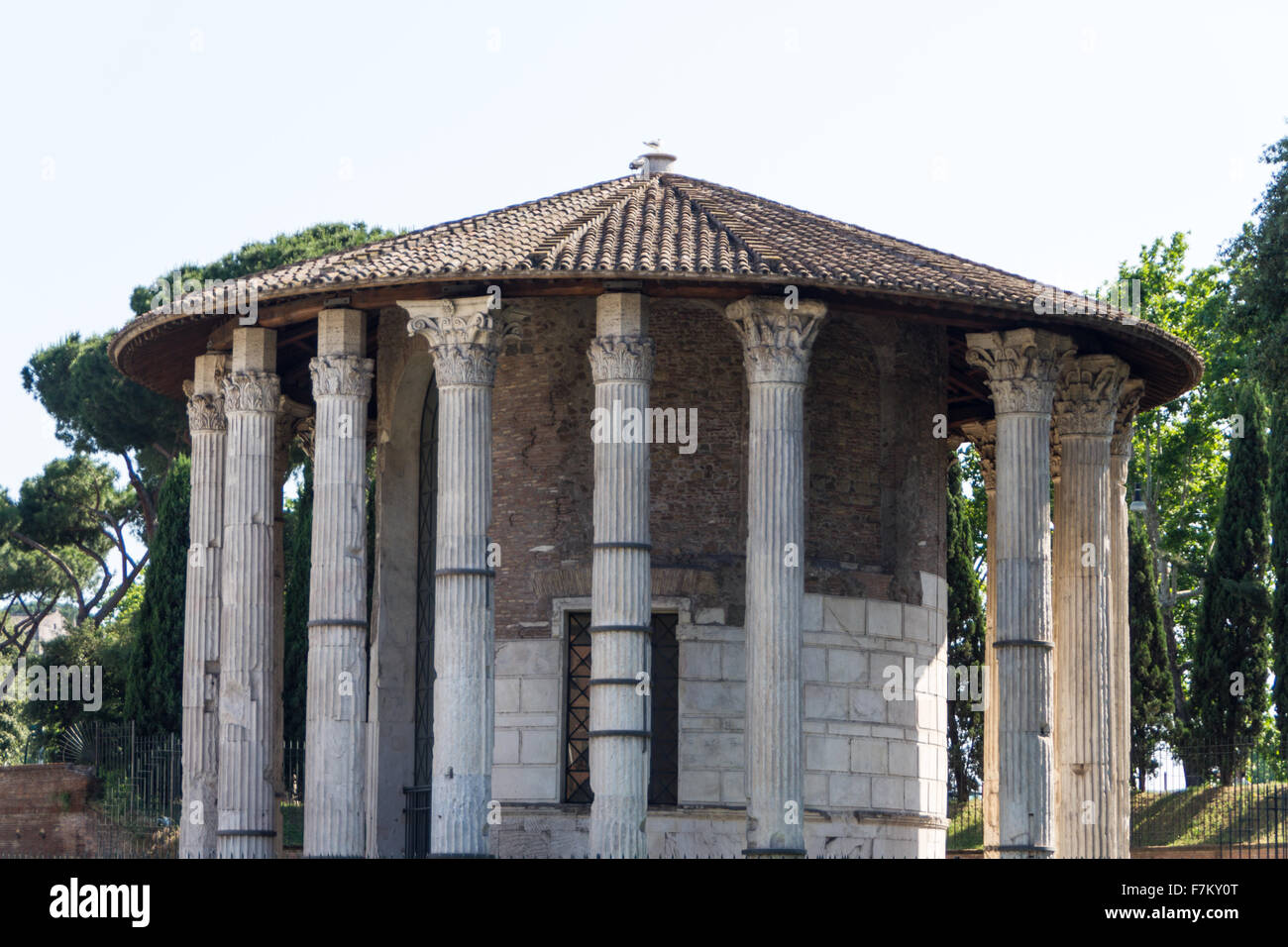 Rome - Vesta temple Stock Photo - Alamy