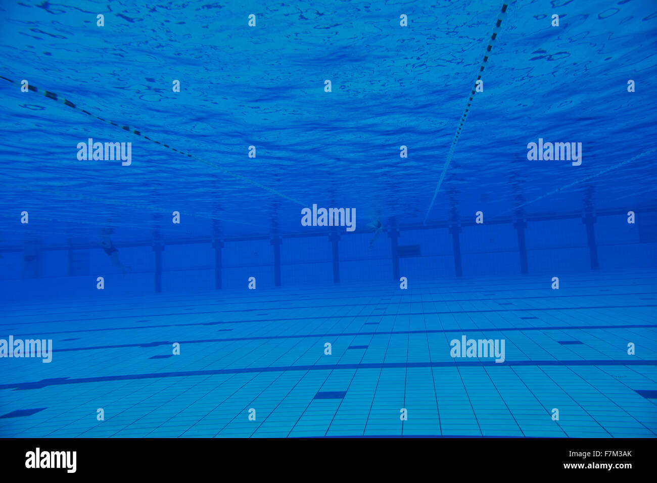 sport swimming pool underwater with blue color and swimmers Stock Photo ...