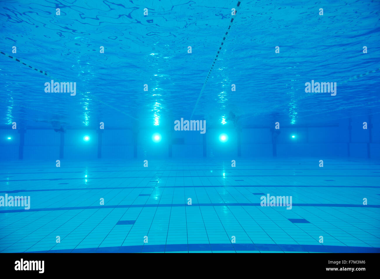 sport swimming pool underwater with blue color and swimmers Stock Photo ...