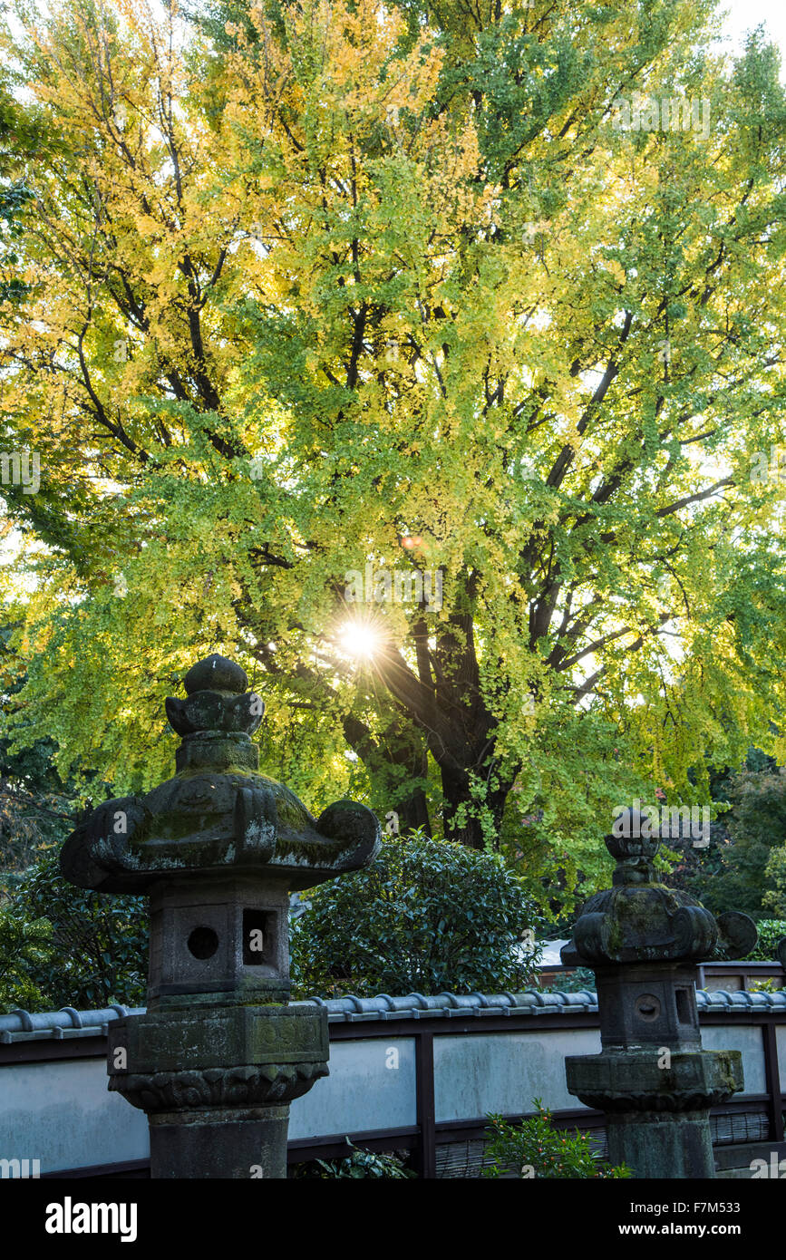 Ueno Toshogu Shrine,Ueno Park,Taito-Ku,Tokyo,Japan Stock Photo - Alamy