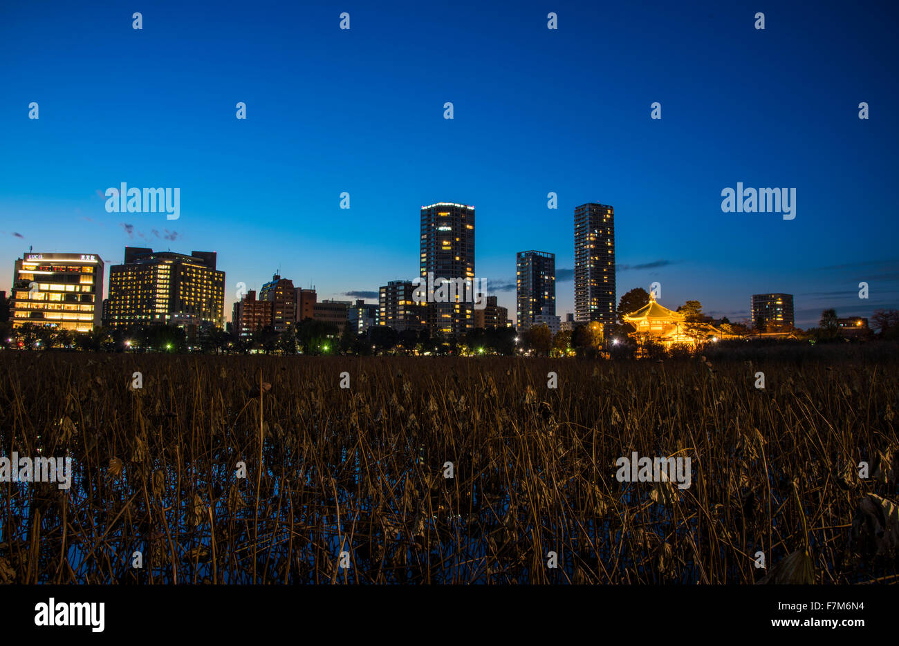 Shinobazu Pond,Ueno Park,Taito-Ku,Tokyo,Japan Stock Photo - Alamy