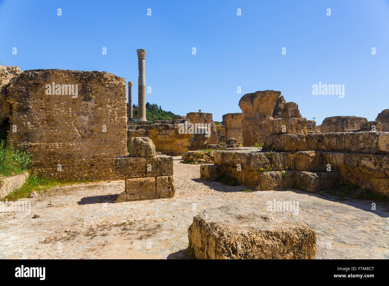 Old Carthage ruins in Tunisia Stock Photo - Alamy