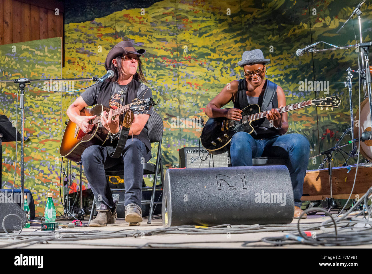Folk guitars hi-res stock photography and images - Alamy