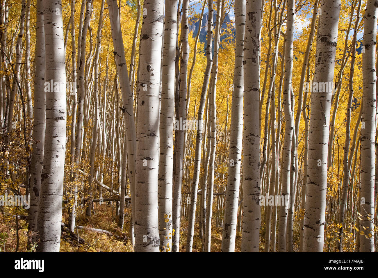 Color outside hi-res stock photography and images - Alamy