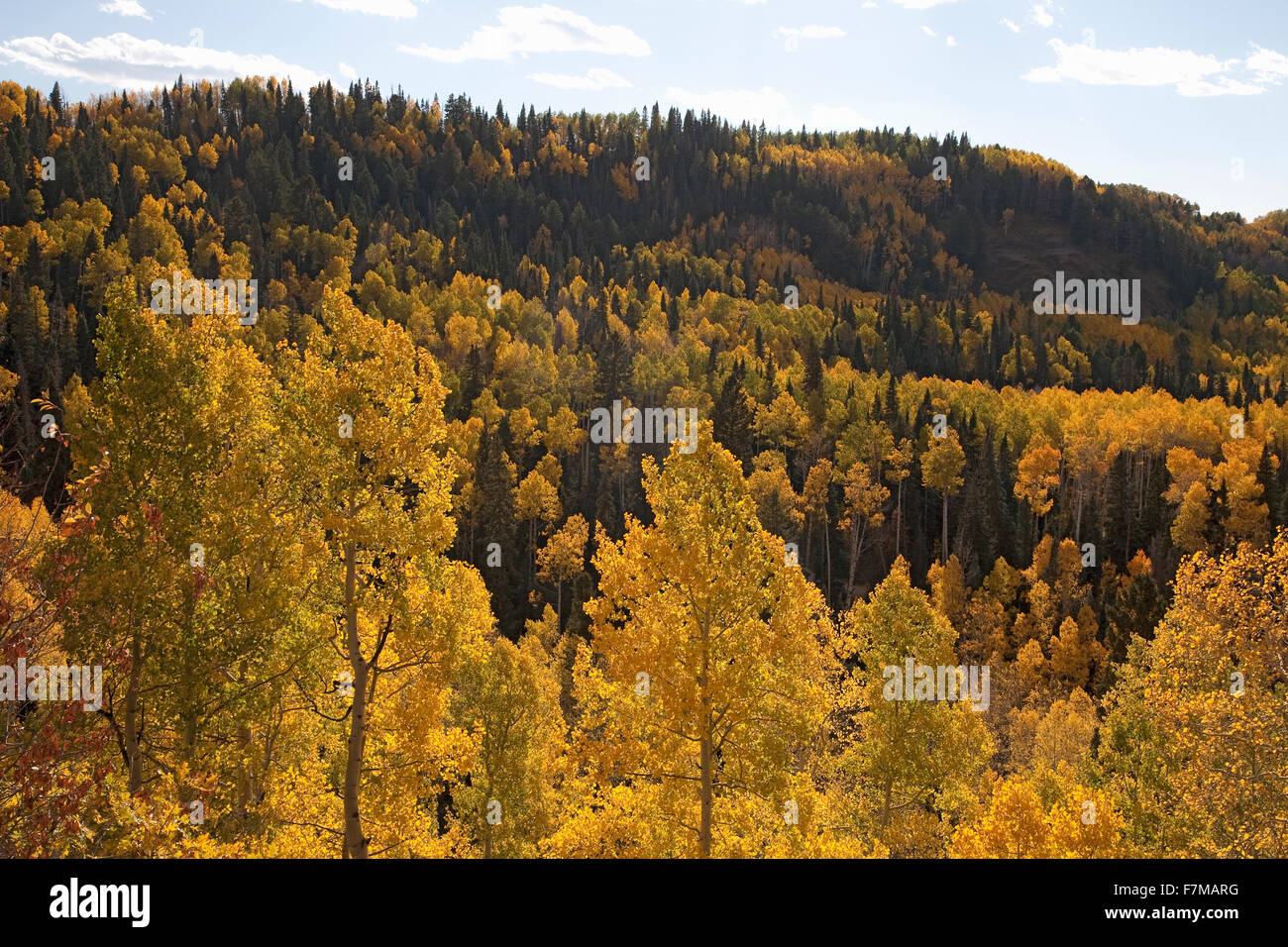 Chimney Peak with white puffy clouds showing Courthouse Mountain in the ...