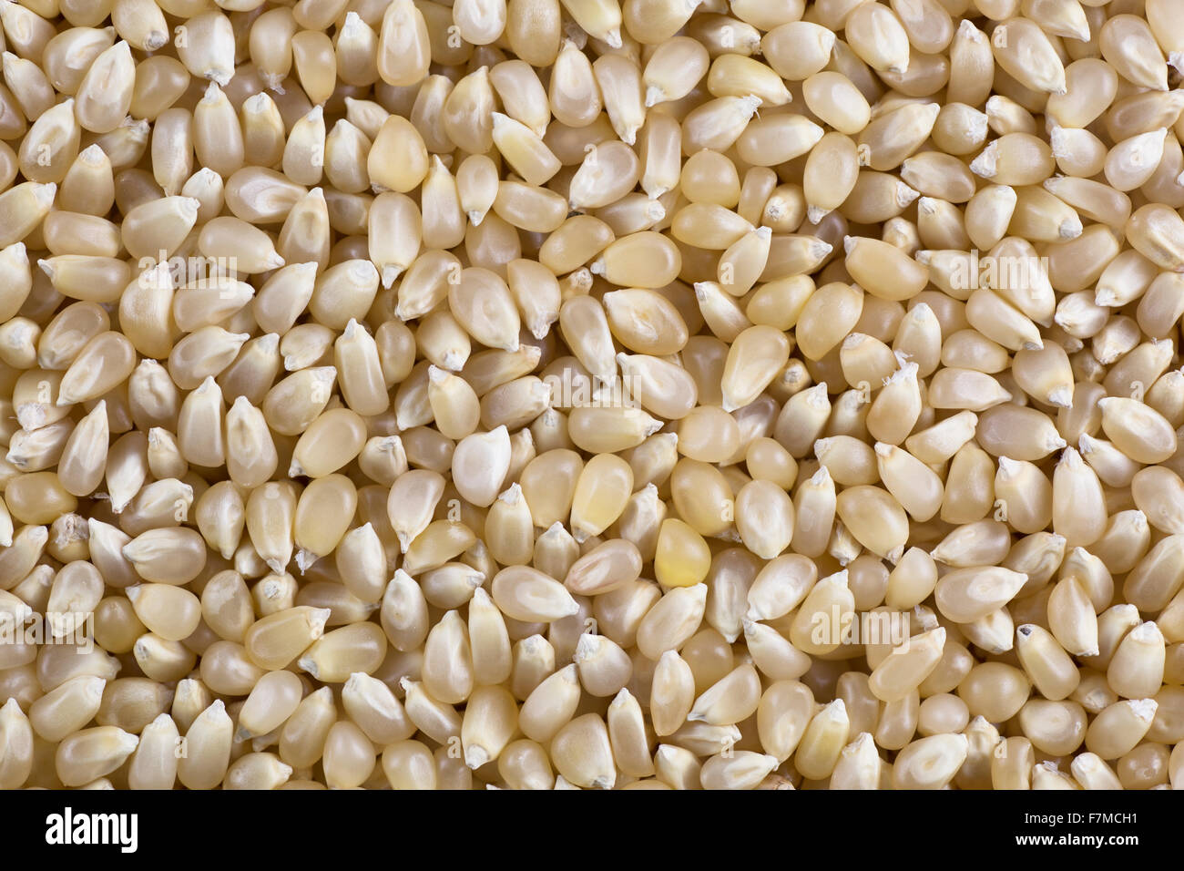 White popcorn kernels food background Stock Photo - Alamy