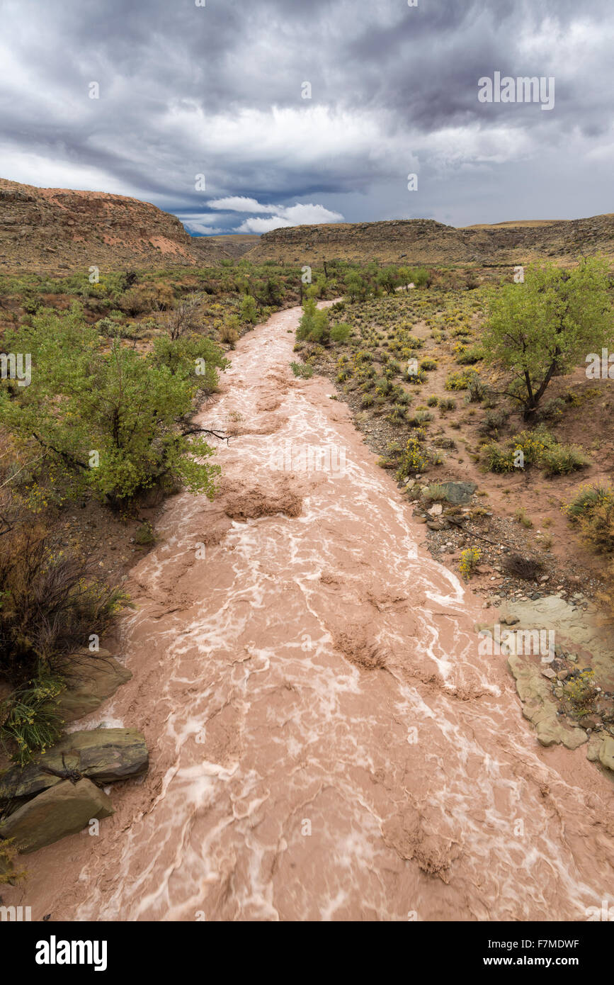 The recapture hi-res stock photography and images - Alamy