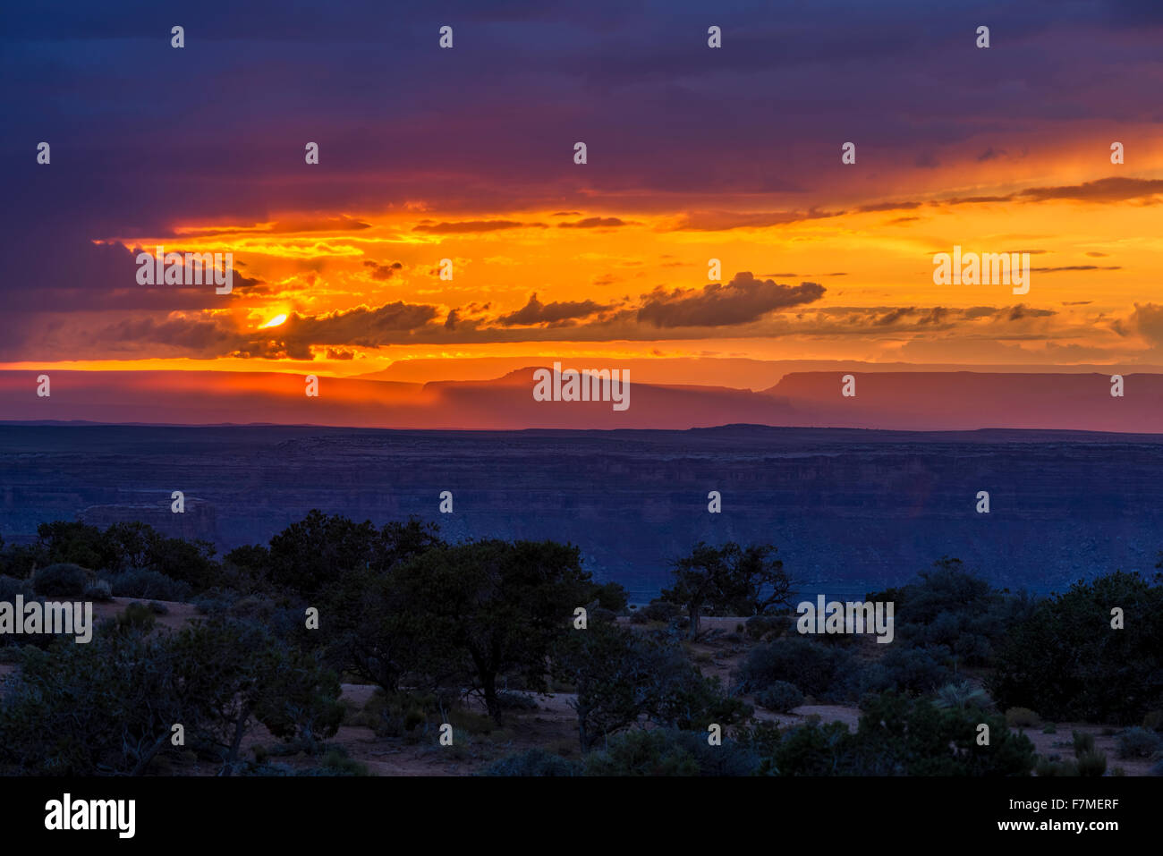 Muley point hi-res stock photography and images - Alamy