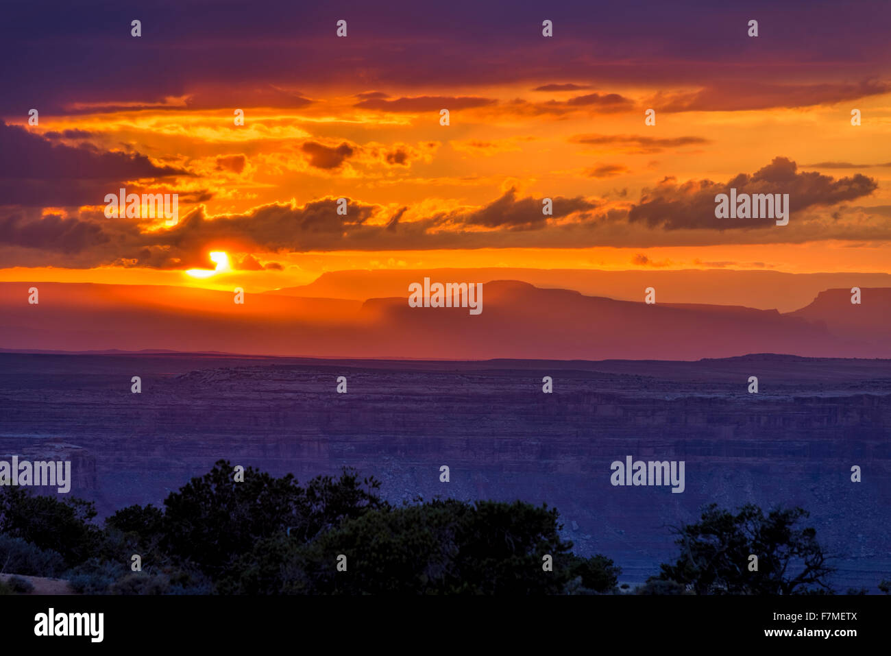 Muley point hi-res stock photography and images - Alamy