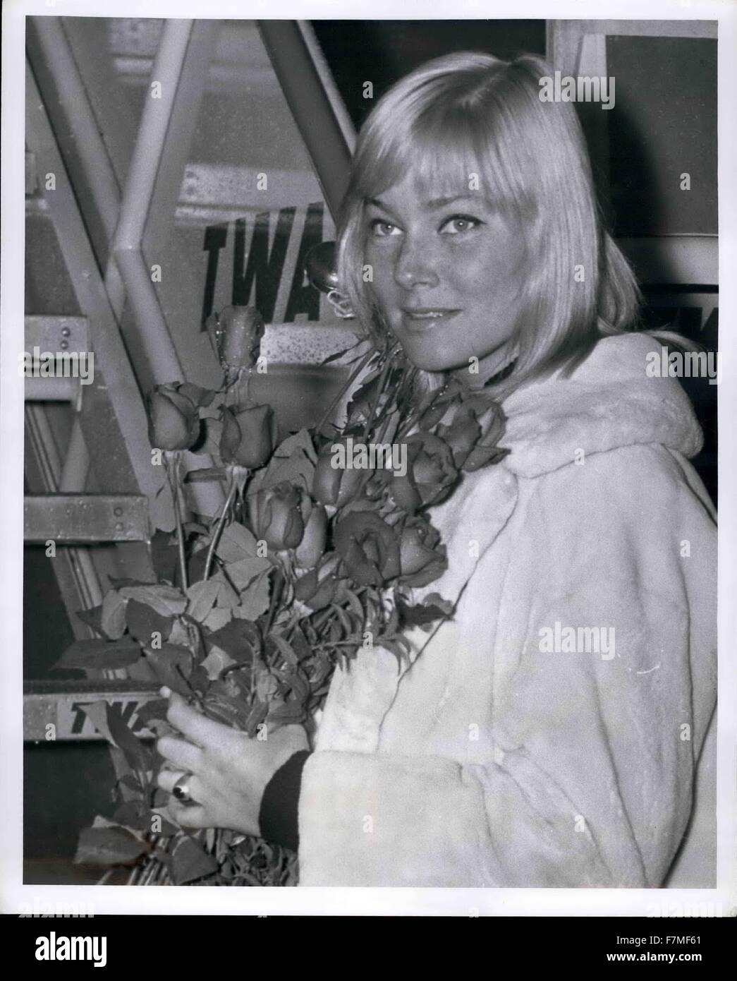 1960 - N.Y International Airport, February 11, 1960 Striking May Britt ...