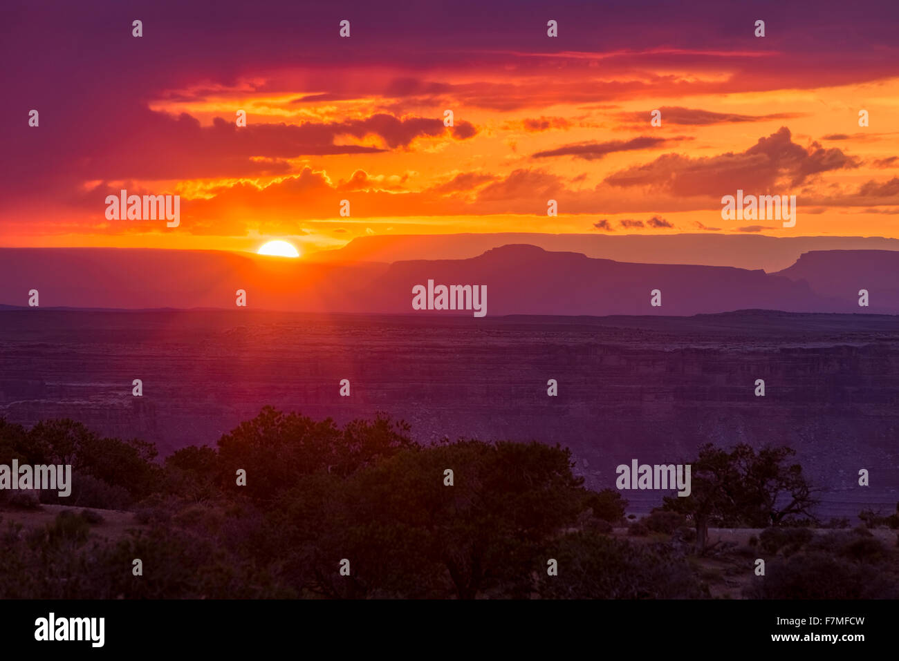 Muley point hi-res stock photography and images - Alamy