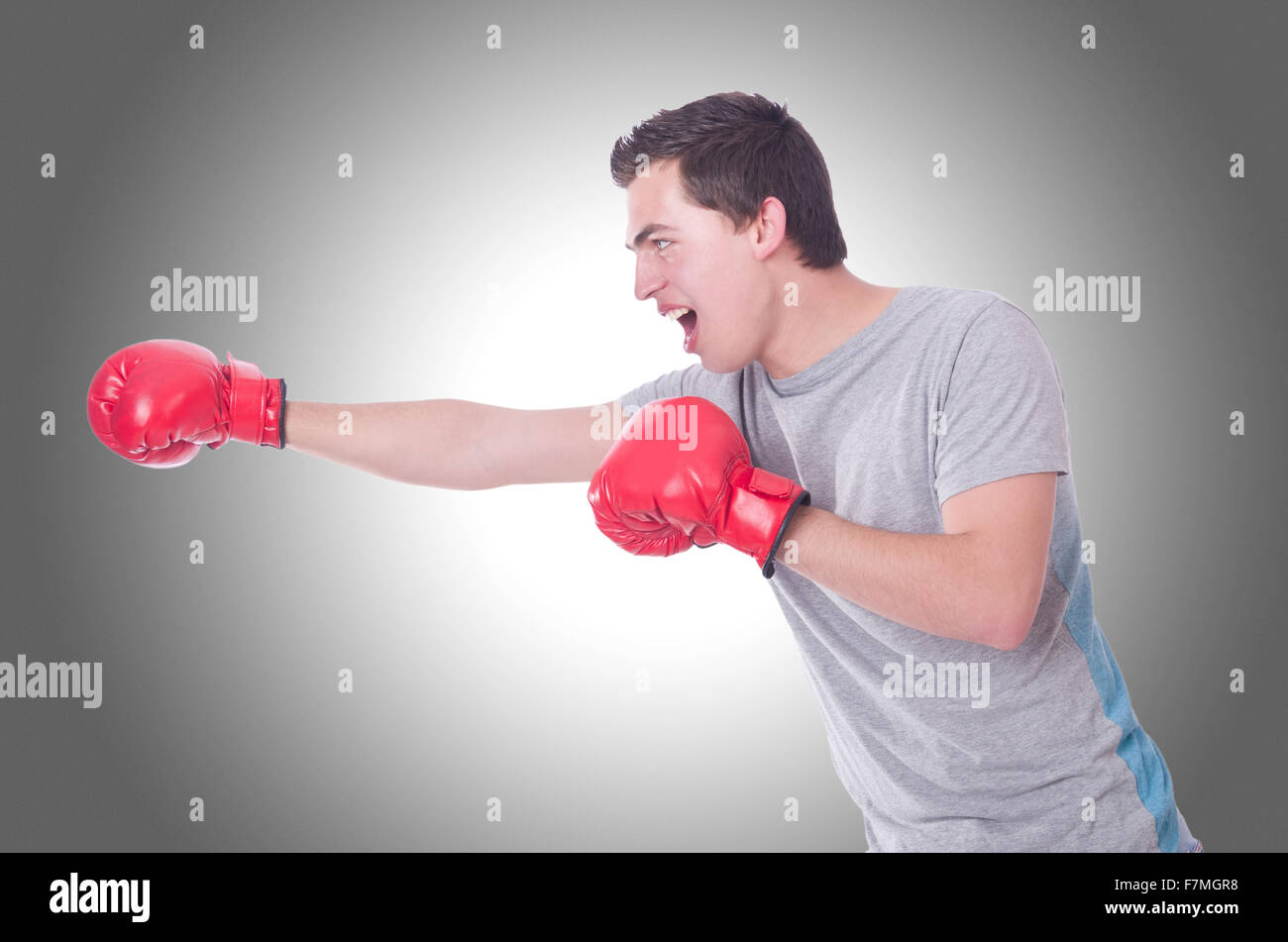 Funny boxer isolated on the white background Stock Photo - Alamy