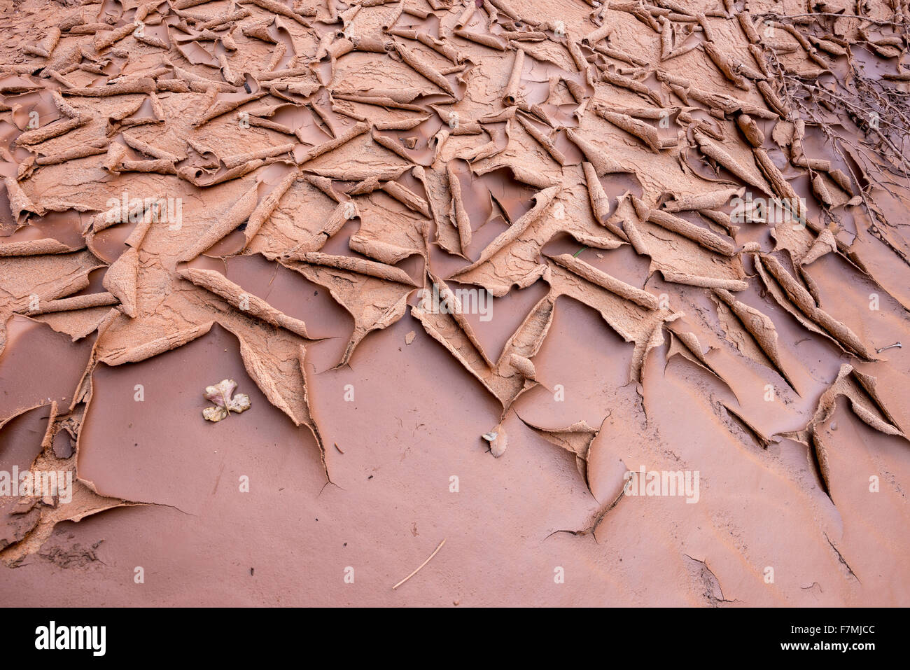 Drying sand in the streambed of a canyon in Cedar Mesa, Utah Stock ...