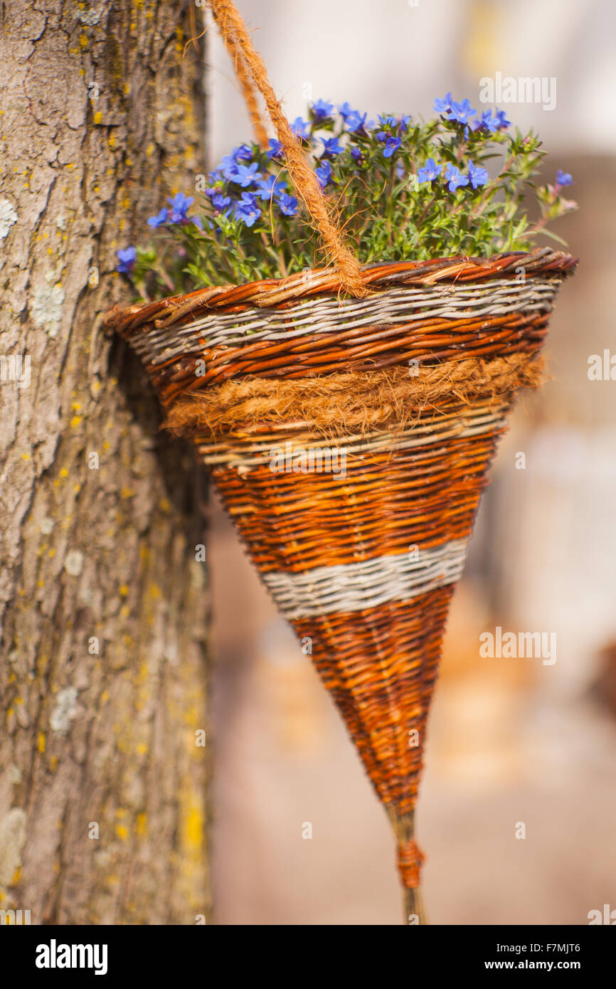 View of flowers inside a wicker basket Stock Photo - Alamy
