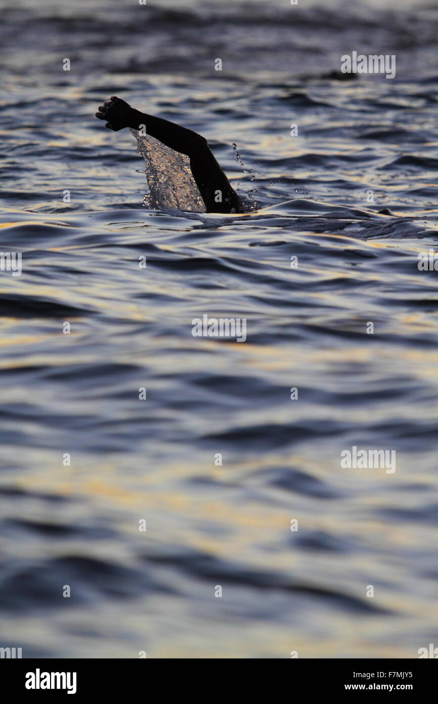 A male swimmer doing freestyle laps and exercising in an ocean rock ...