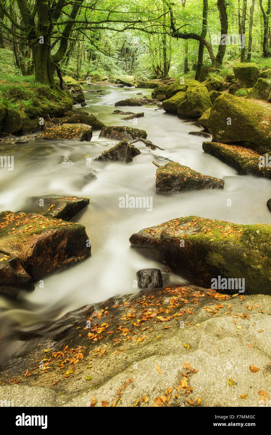 Beautiful Summer landscape of Golitha Fall river in Devon England Stock ...