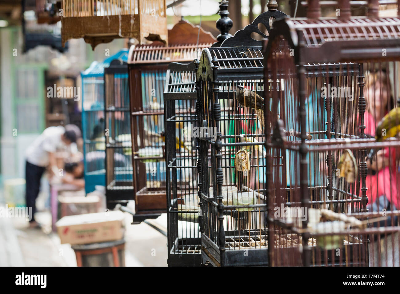 Colorful cages for sale at the bird market in Yogyakarta, Java ...