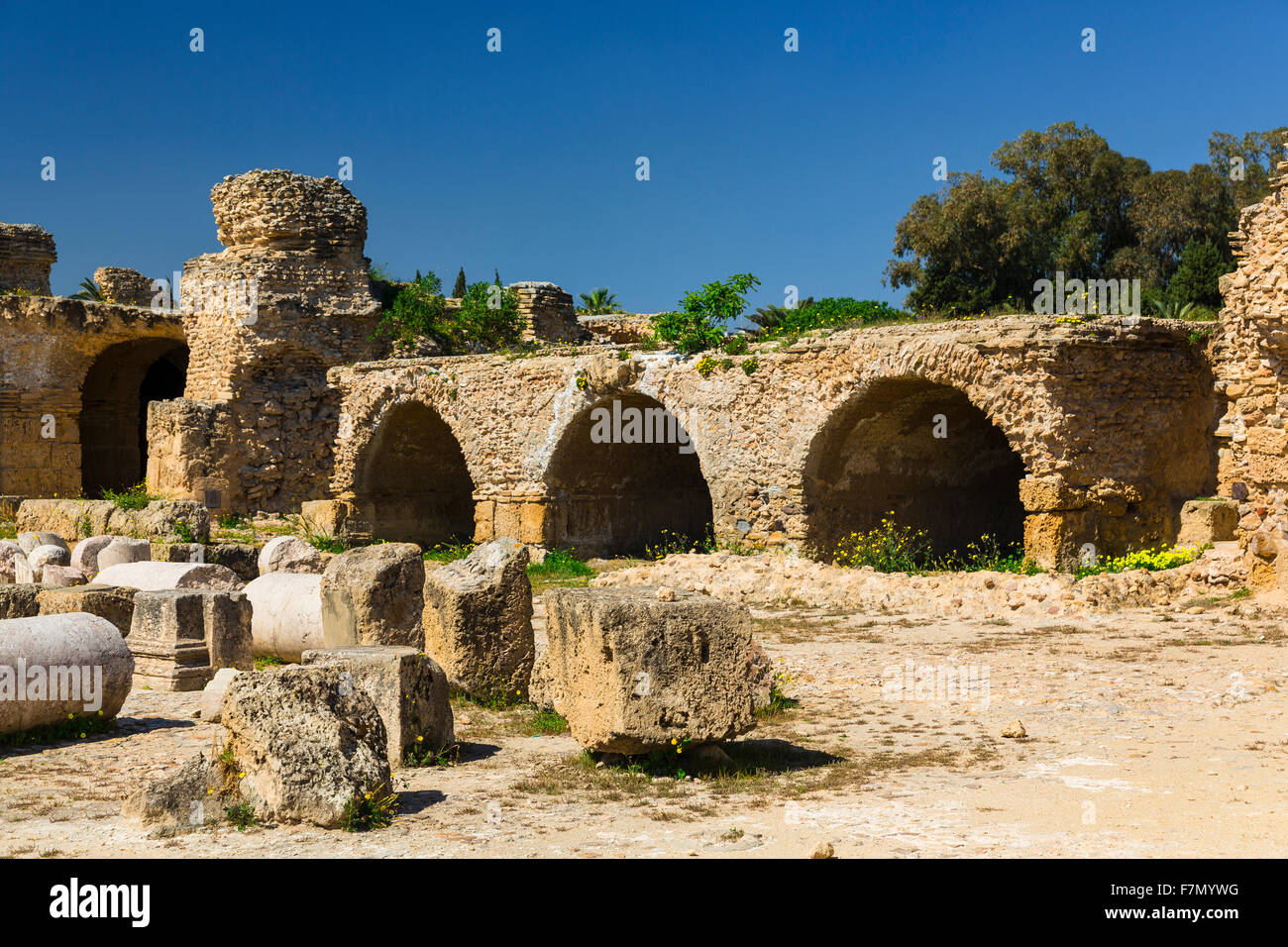Old Carthage ruins in Tunisia Stock Photo - Alamy