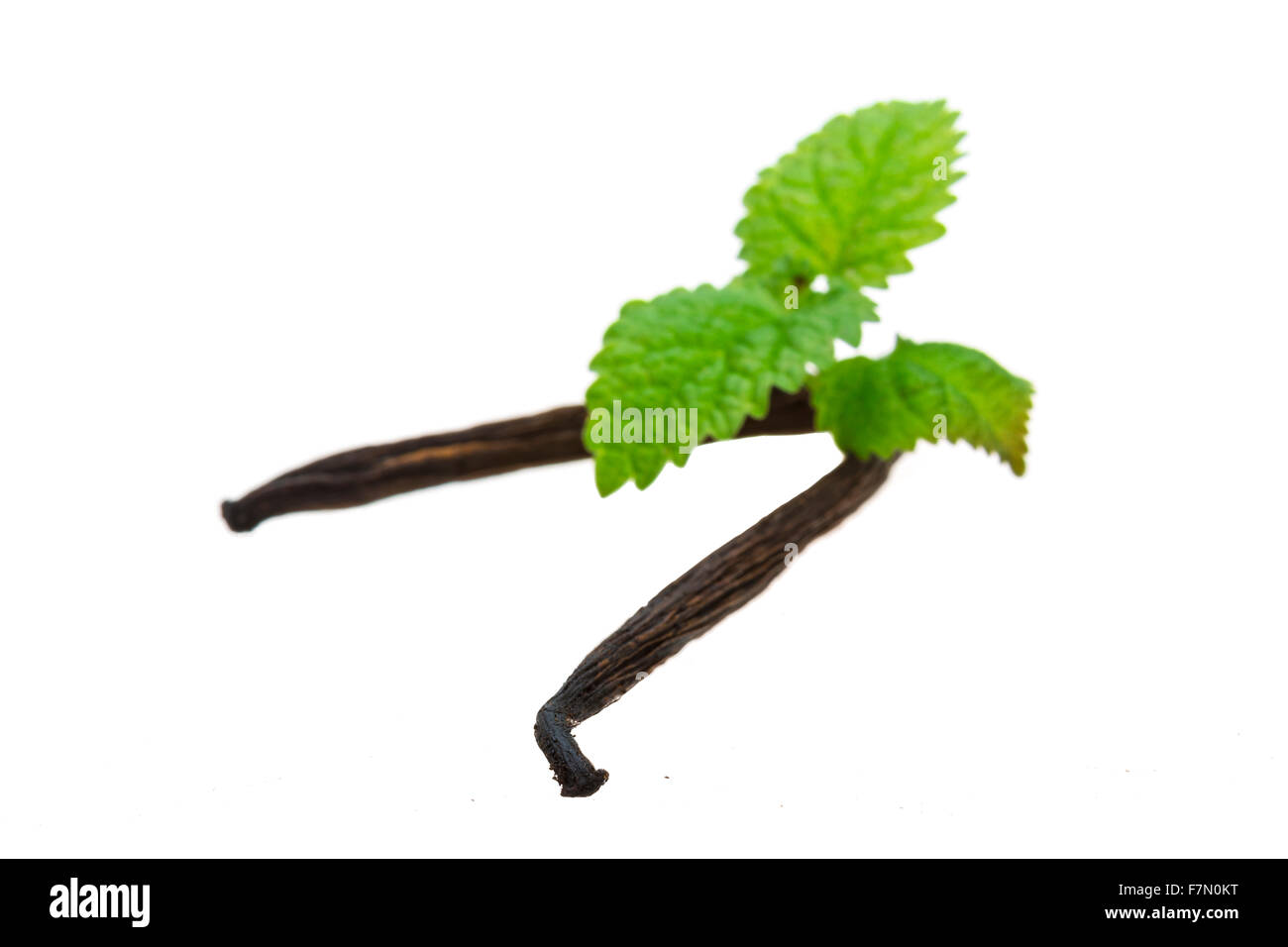 Vanilla with mint isolated studio Stock Photo - Alamy