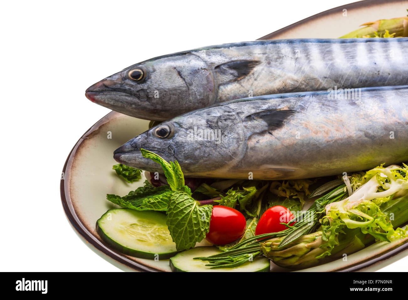 Atlanticmackerel hi-res stock photography and images - Alamy