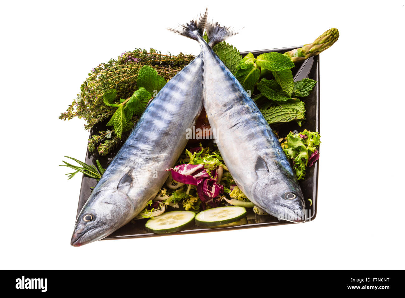 Atlanticmackerel hi-res stock photography and images - Alamy