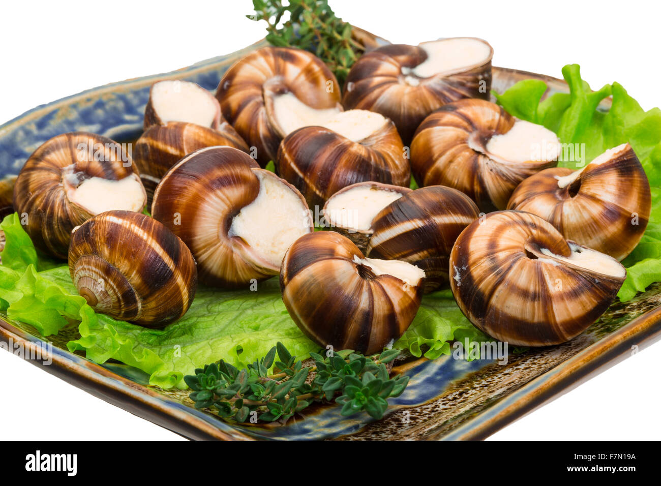 Escargot with cheese sauce Stock Photo - Alamy