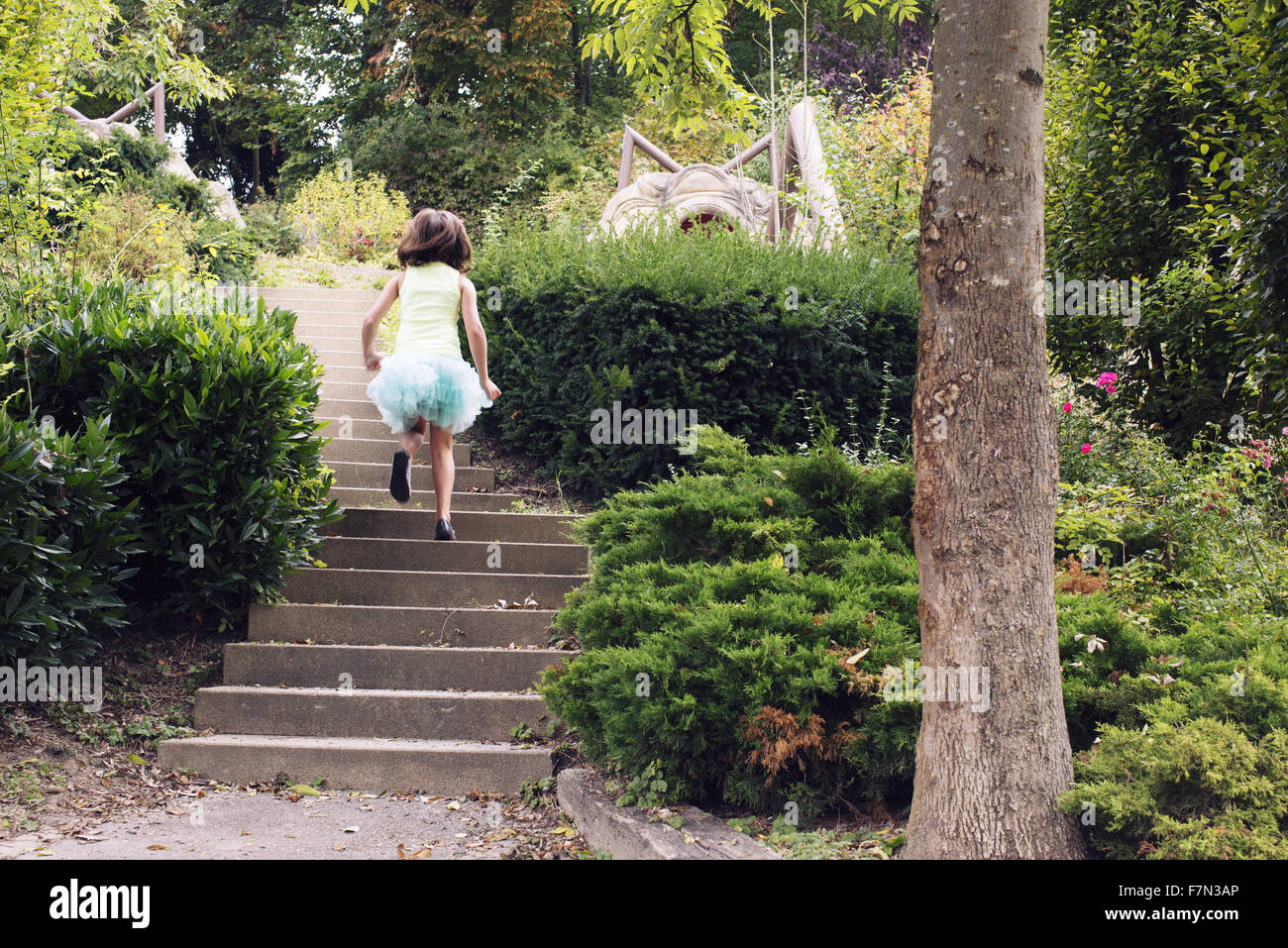 Girl in tutu running up stairs in park, rear view Stock Photo - Alamy
