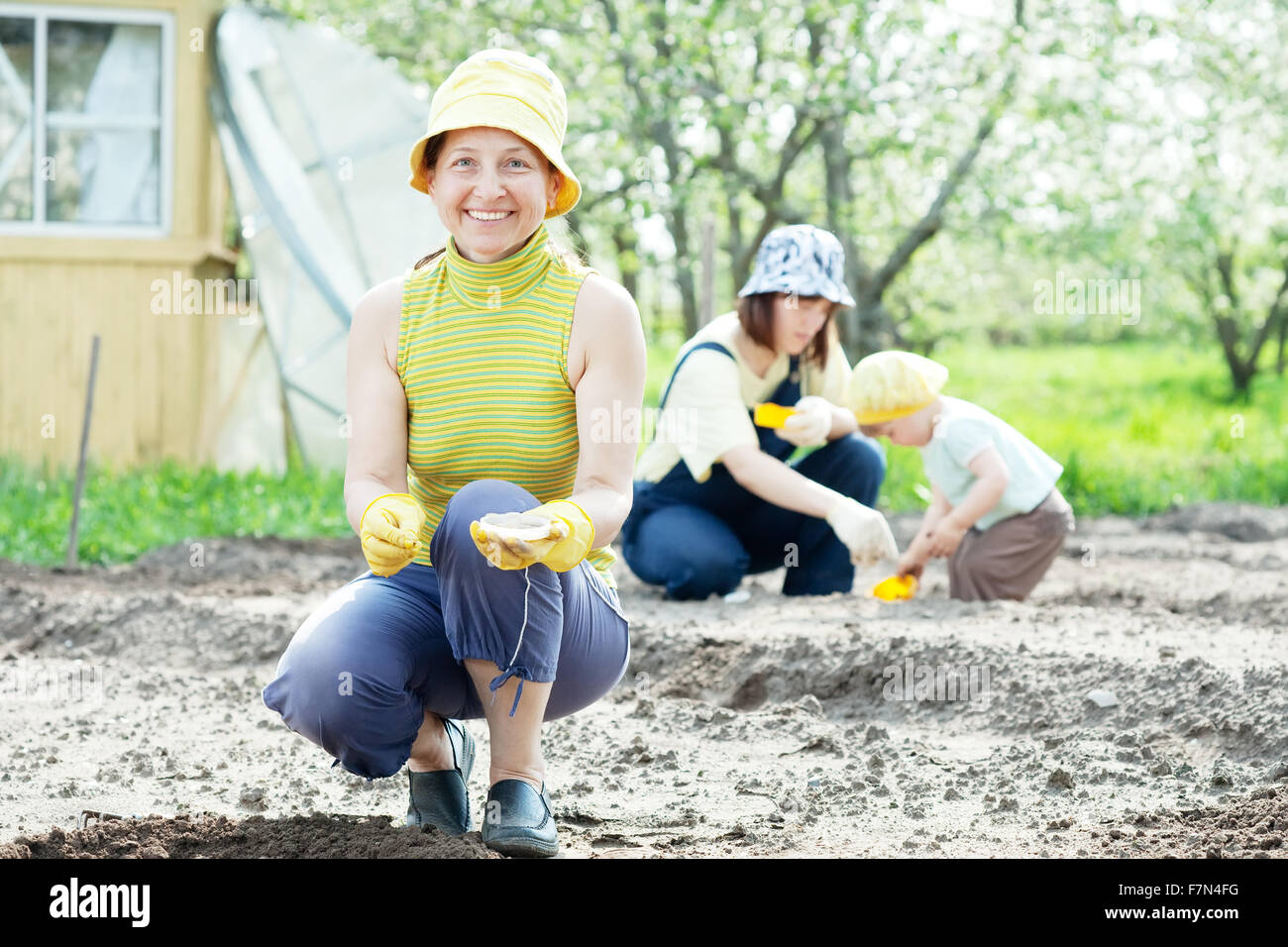 Happy family sows seeds in soil at field Stock Photo - Alamy