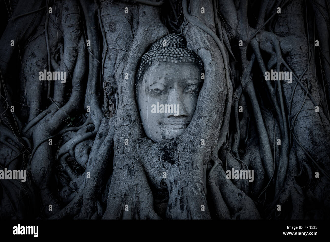 Buddha head hi-res stock photography and images - Alamy