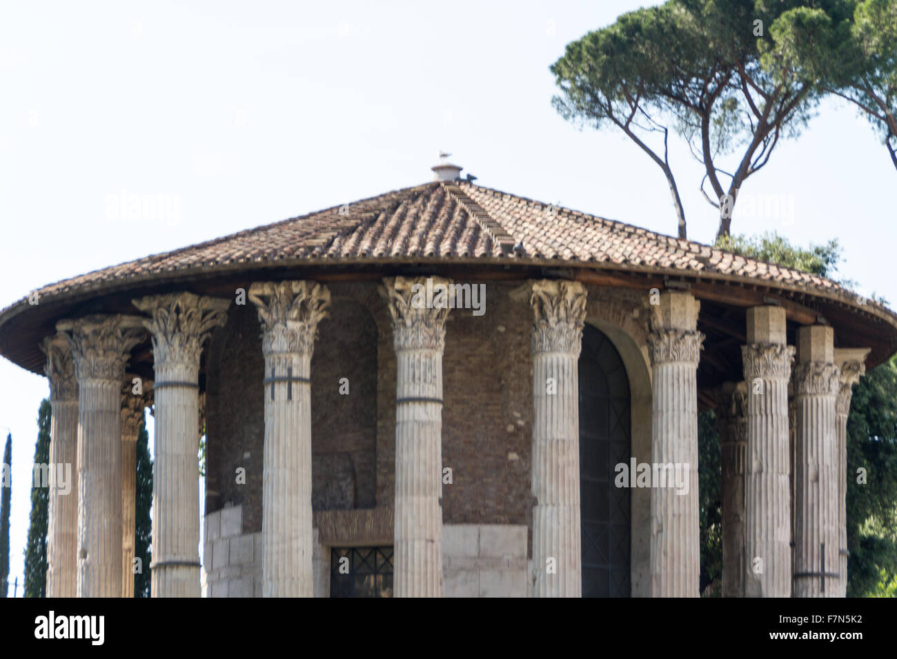 Rome - Vesta temple Stock Photo - Alamy