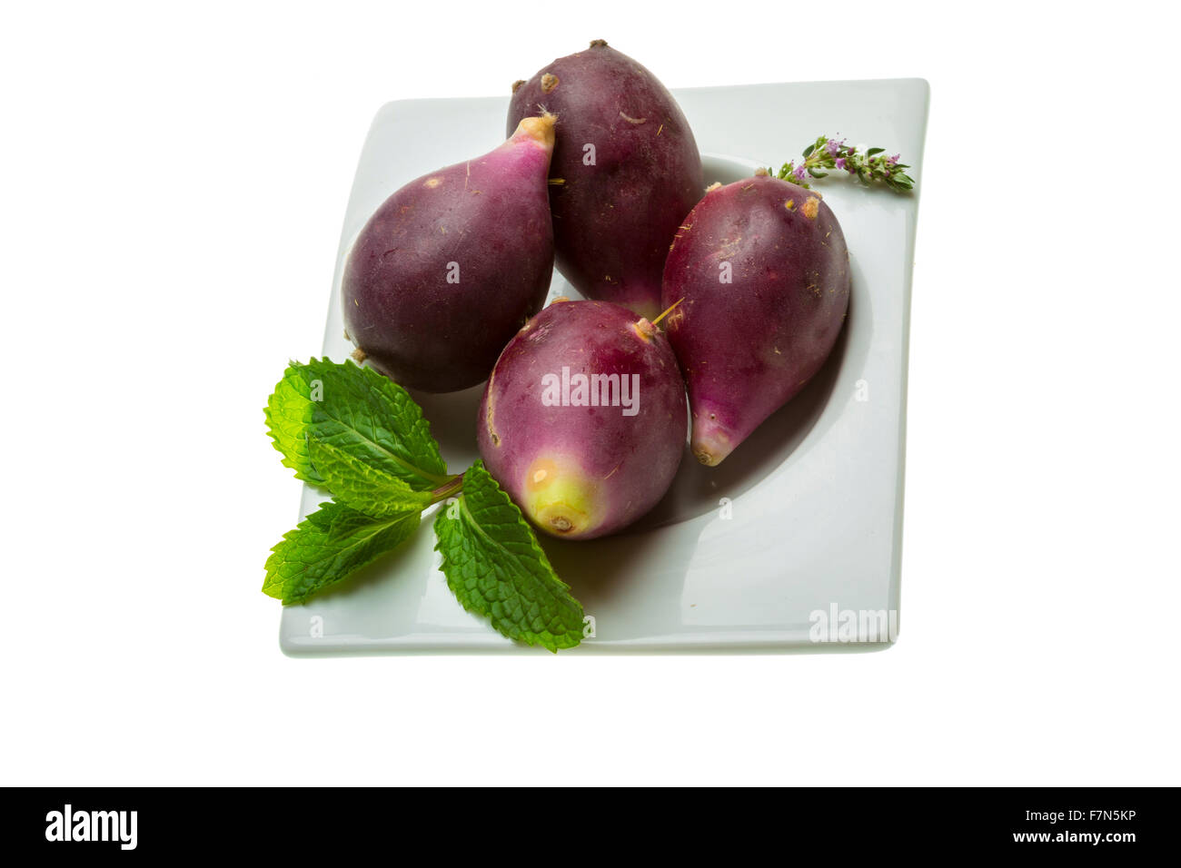 Sabr cactus hi-res stock photography and images - Alamy