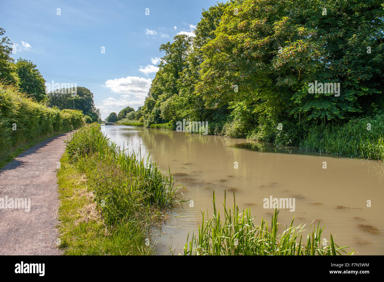 Path along a still river in summer Stock Photo - Alamy