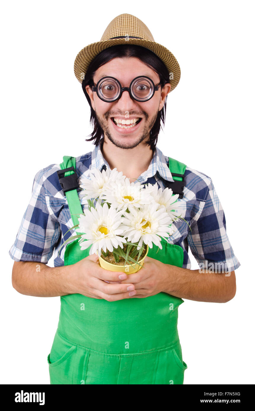Young funny gardener with pot of camomiles isolated on white Stock ...