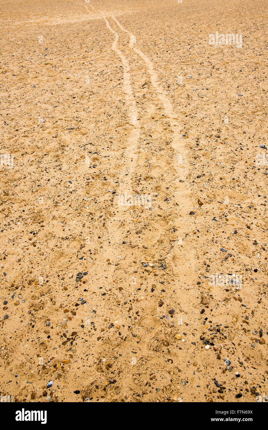 lines made by a vehicle in the sand Stock Photo - Alamy