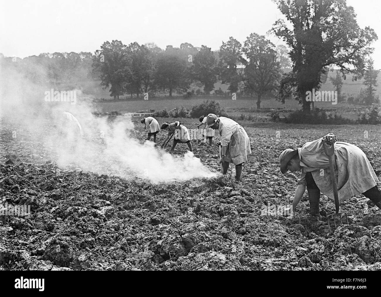 American women world war ii hi-res stock photography and images - Alamy