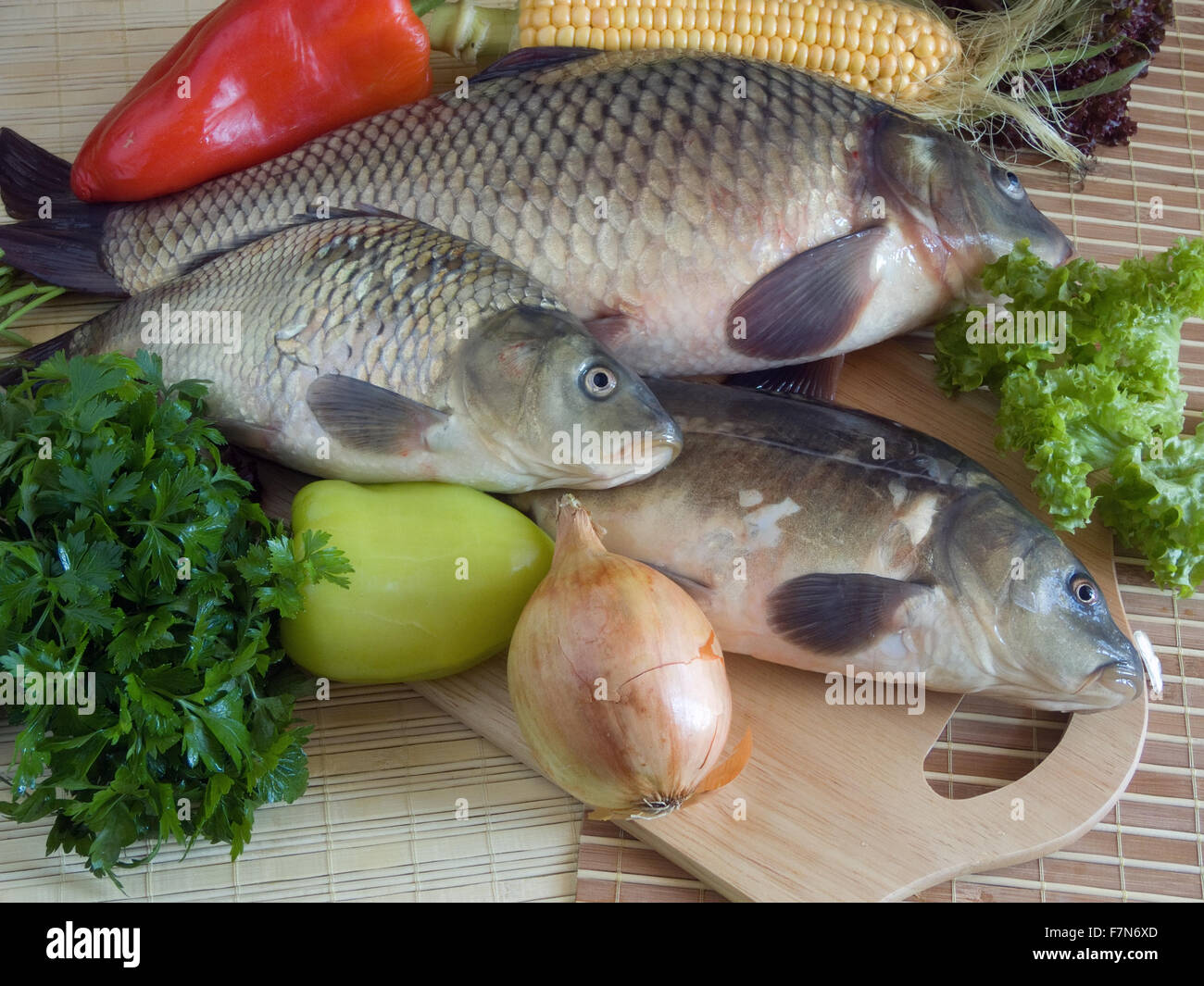 Carp fish close up on hi-res stock photography and images - Alamy