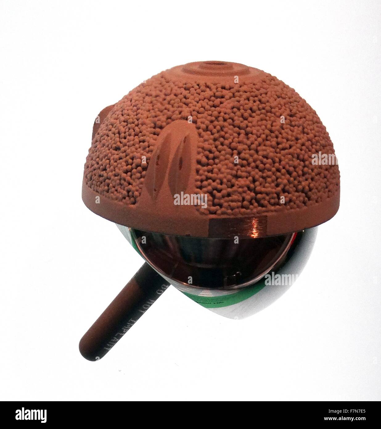 Ball And Socket Joints In The Human Body