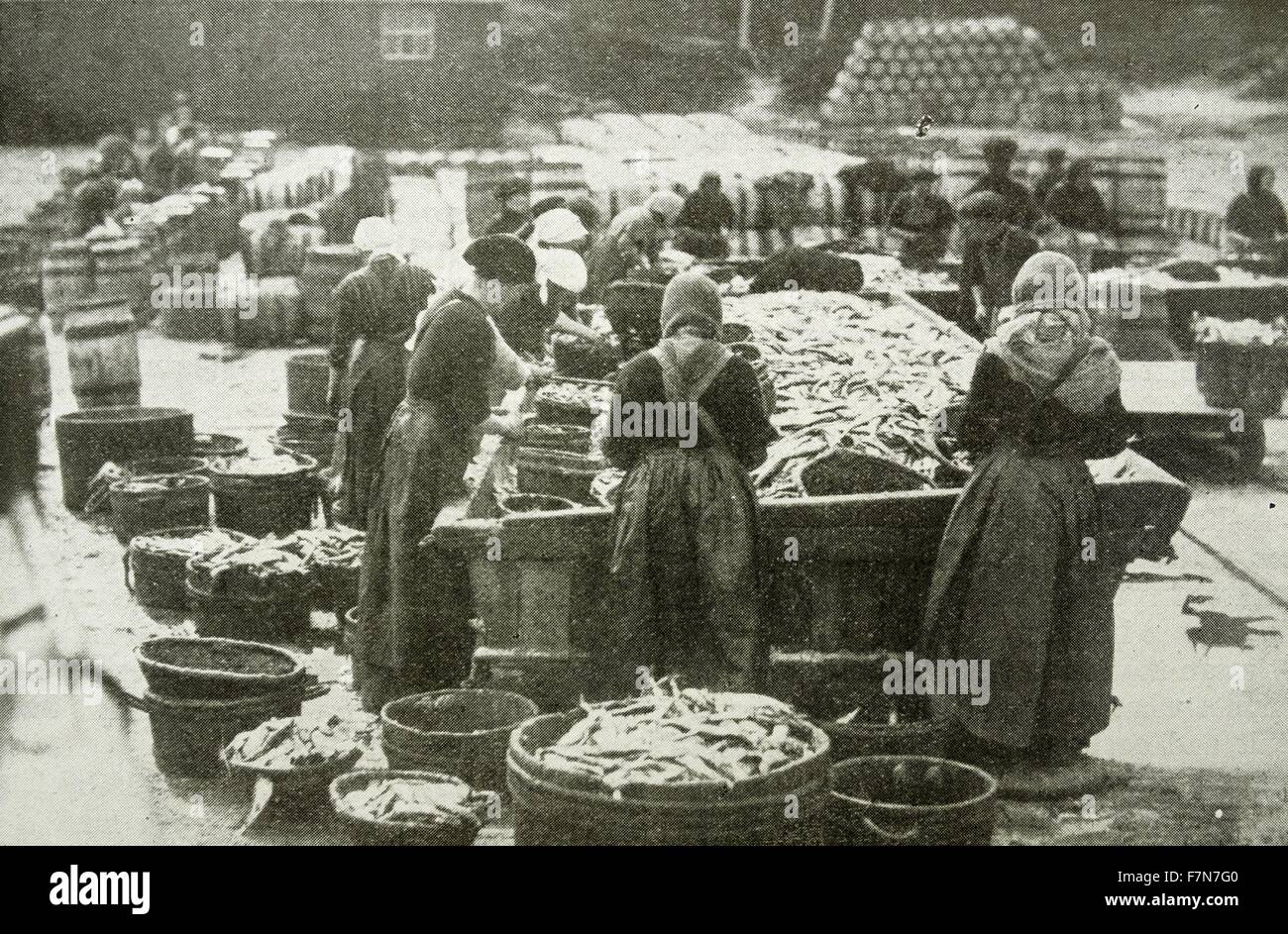 Herring fishing hi-res stock photography and images - Alamy