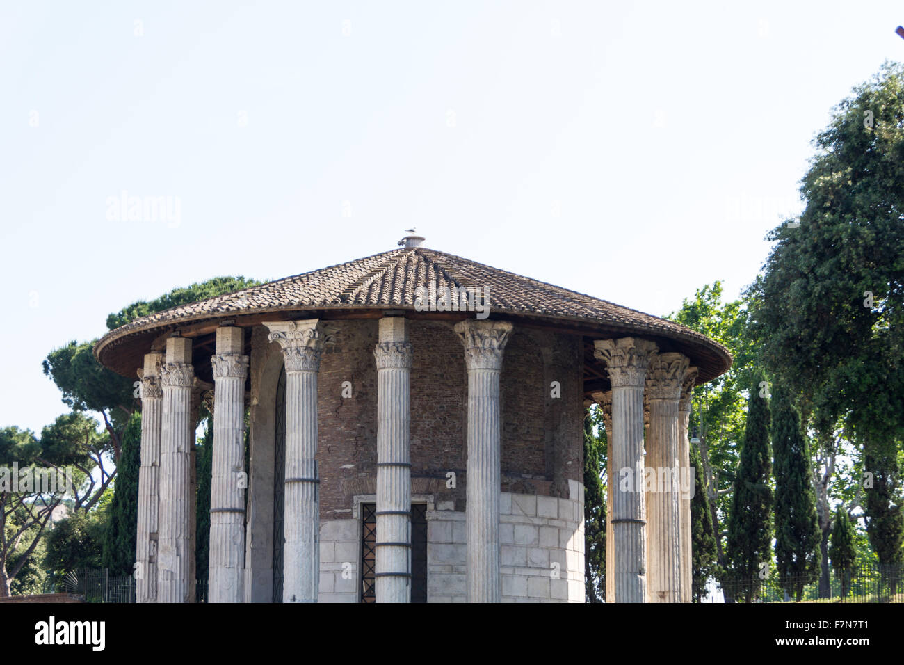 Rome - Vesta temple Stock Photo - Alamy