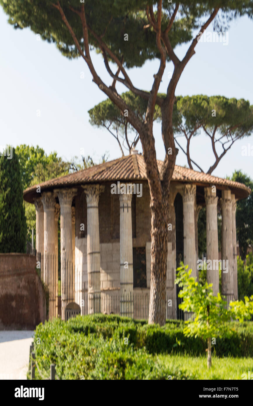 Rome - Vesta temple Stock Photo - Alamy