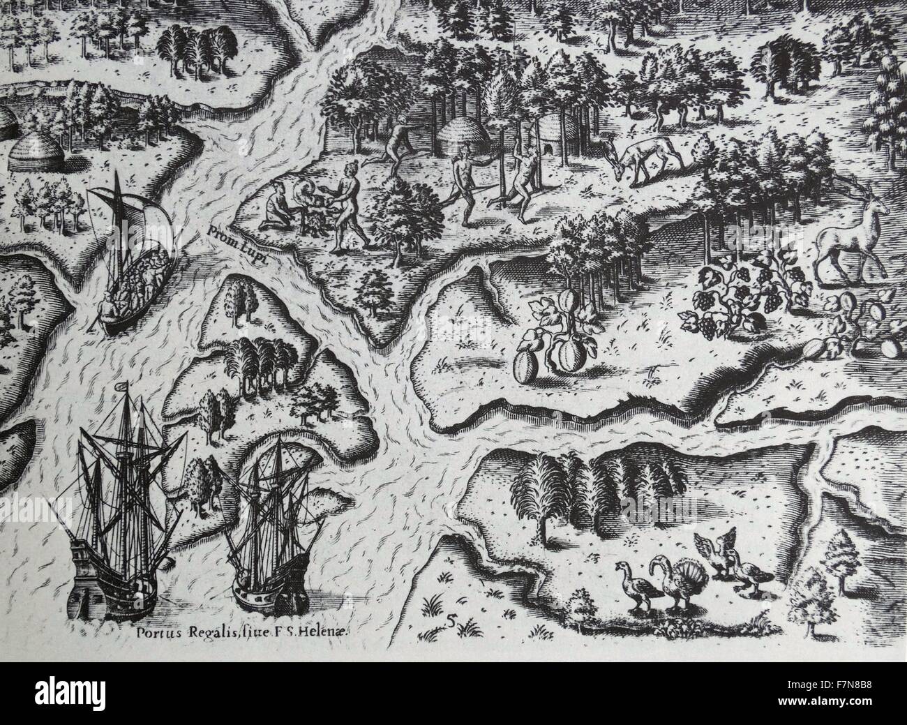Illustration depicting a French expedition arriving in Florida in the ...
