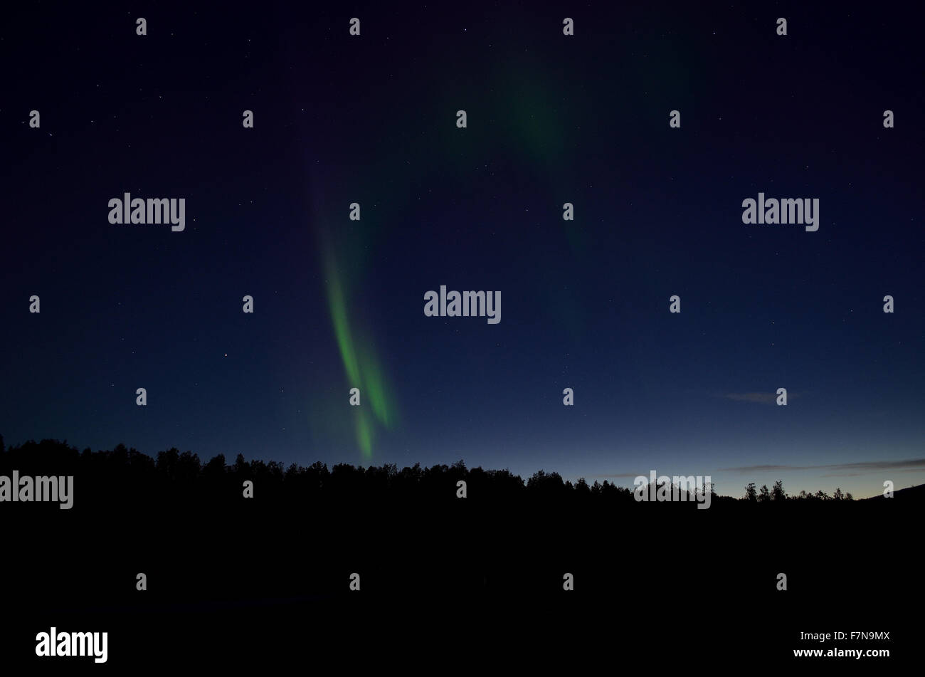 aurora borealis on blue autumn night sky Stock Photo - Alamy