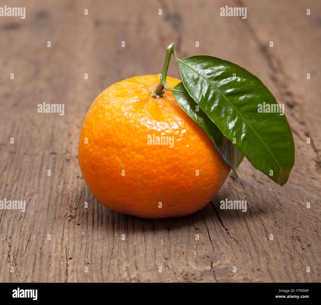Fine grown mandarin orange with leaf Stock Photo - Alamy