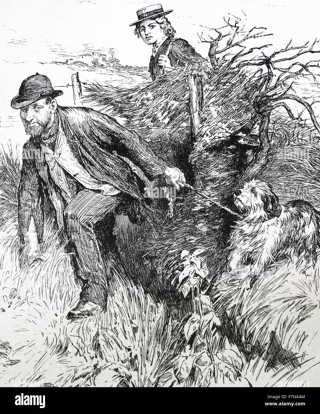 Lady and the tramp hi-res stock photography and images - Alamy