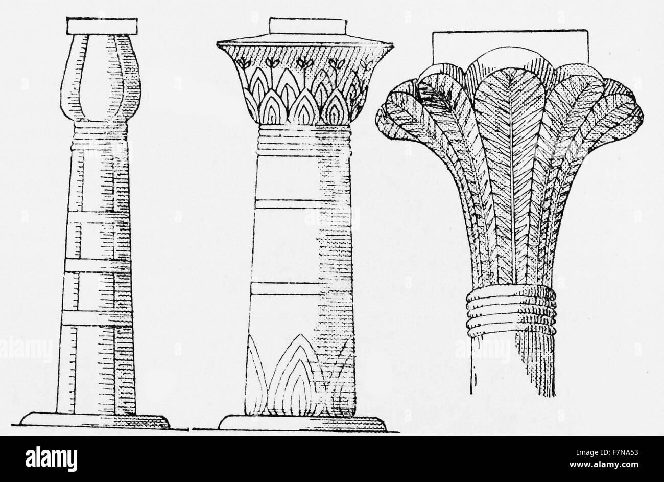 Palm tops Black and White Stock Photos & Images - Alamy