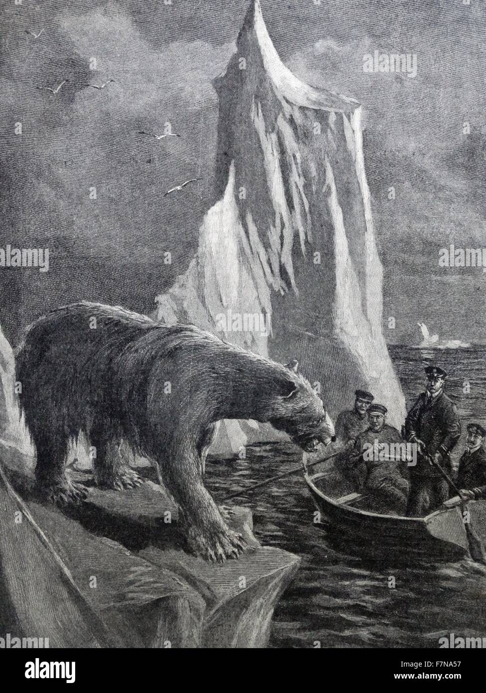 Illustration from a book depicting Captain Ronald Lang hunting a polar ...